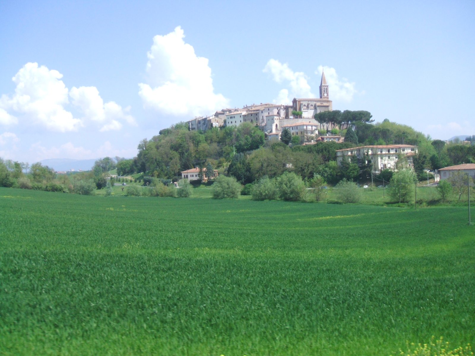Montecastrilli - Amerino Tipico